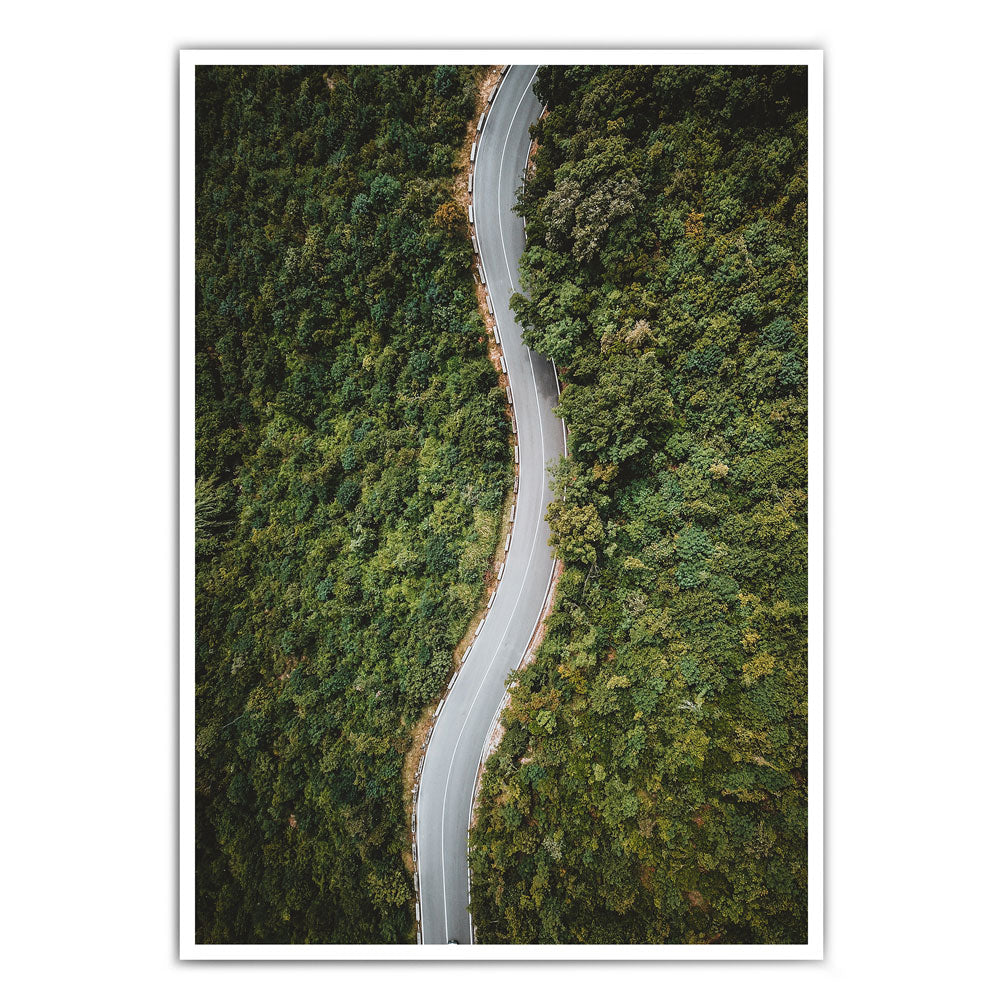 Straße durch den Wald -Natur Poster aus der Vogelperspektive – 4one ...